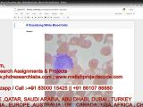 Classifying White Blood Cells Python Code White Blood Cells Blood